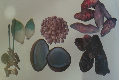 How to Cook Khmer Foods: How to Cook Samlar Kari Sach Morn (Chicken Curry)