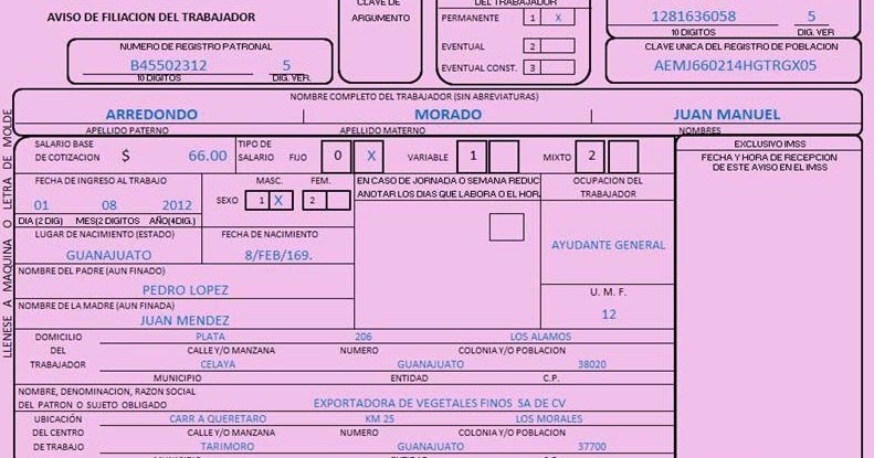 Genera Nóminas de Forma Electrónica: SEGURO SOCIAL (IMSS)