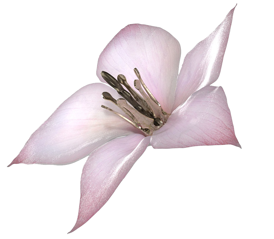 Drakengard & Nier and something else. 18+: FFXV: Dawn of the Future