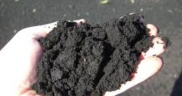 Civil Engineering: Muck