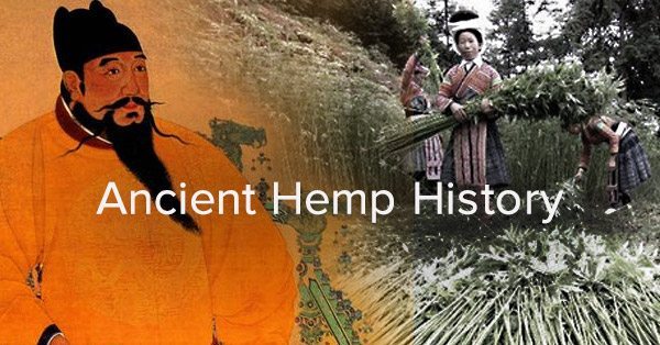 Promoting Human Cannabis Research: Ancient Hemp–4 ancient uses for the ...