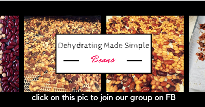 Dehydrating Made Simple Recipe Blog: Beans