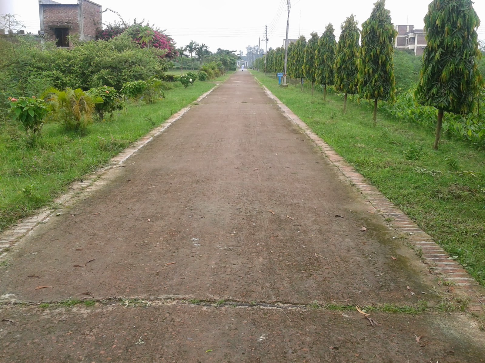 Mahasthangarh: Picture