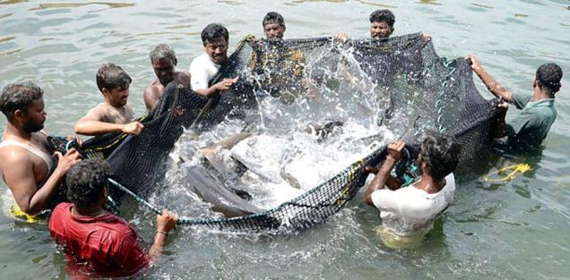 13th World Congress on Aquaculture & Fisheries