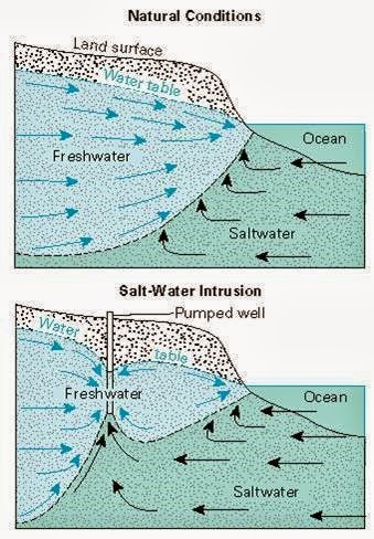 DUNIA SIPIL: INSTRUSI AIR LAUT