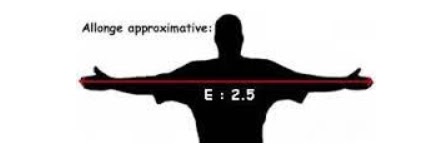 Blog de chasse au chevreuil à l'arc: Déterminer votre ''allonge''