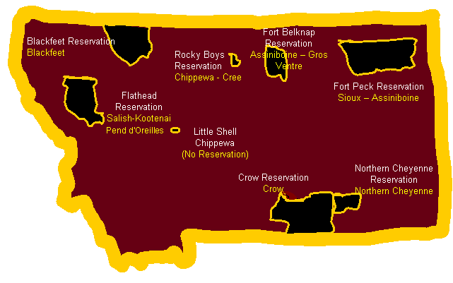 Native Americans : The Cheyenne Tribe