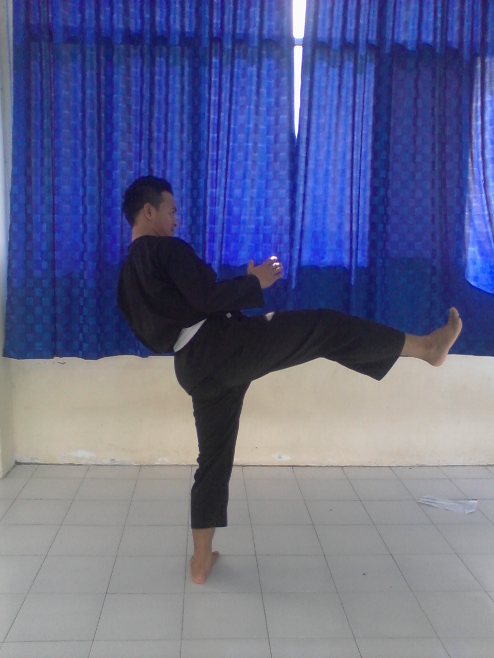 Wahyudi Erdian: TEKNIK-TEKNIK DASAR PENCAK SILAT