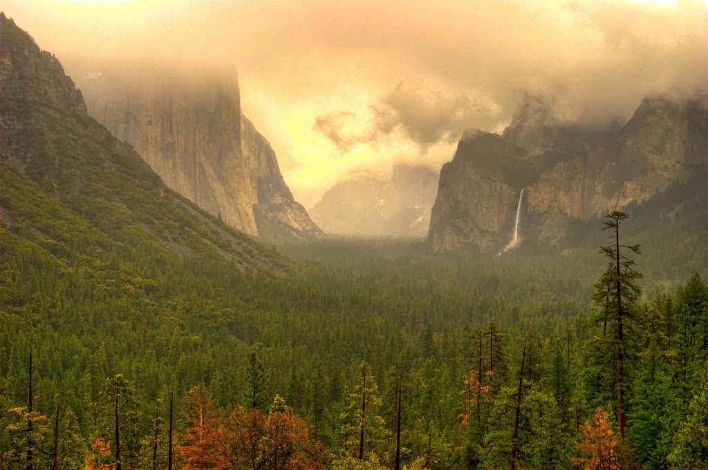 What is perspective and how can we use it to improve the composition of ...