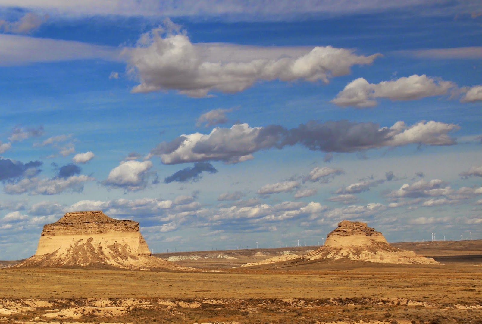 In the Company of Plants and Rocks: Erosion in a Land of Sky and Grass
