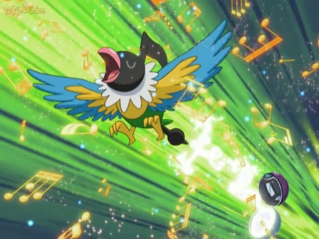 Poké-Arquivo: 441 - Chatot ~ PMD || Acervo de Imagens de Digimon e ...
