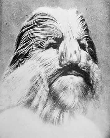 EL EMBRUJO DE GAIA: FEDOR JEFTICHEW Y STEPHAN BIBROWSKY