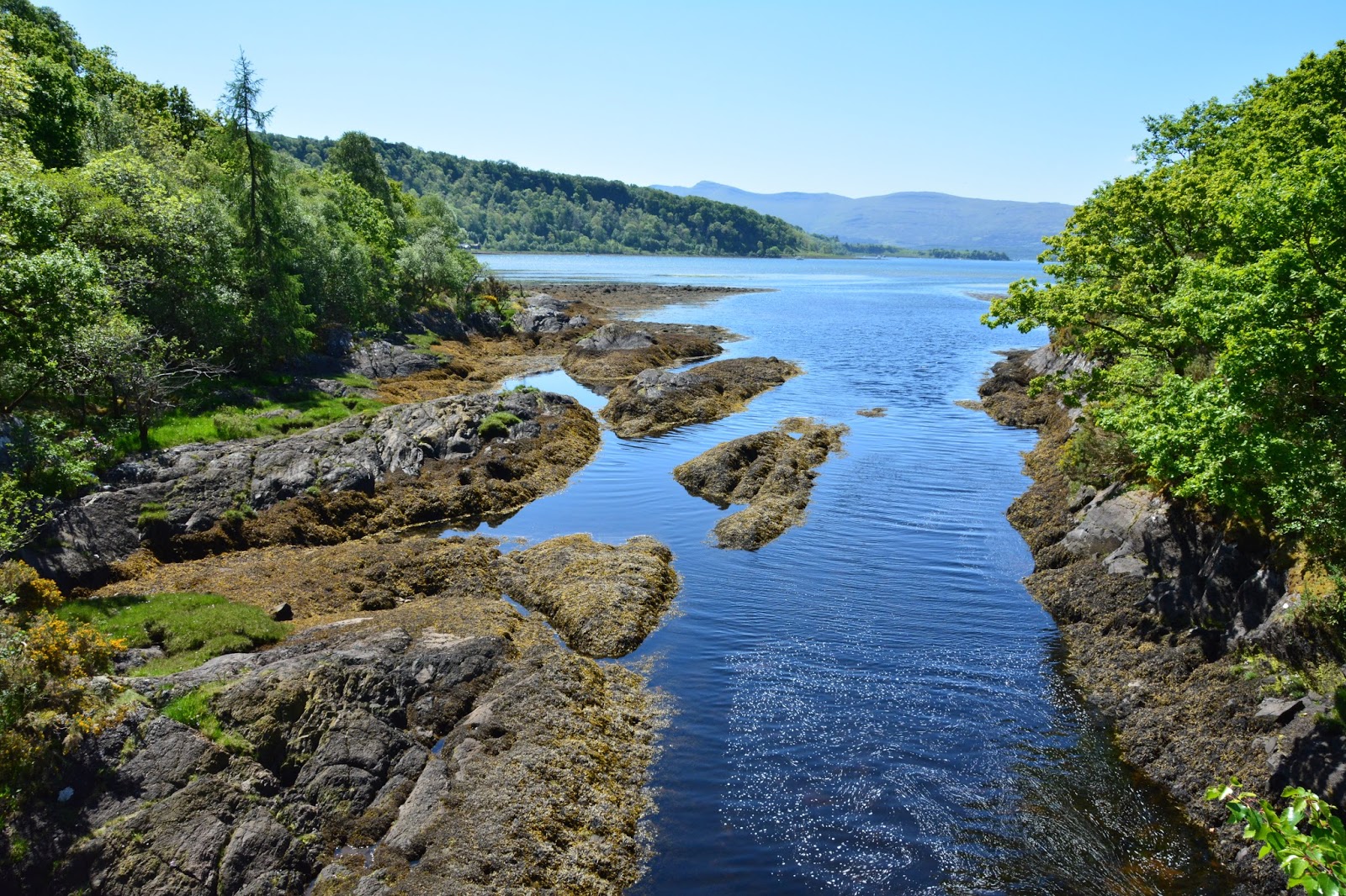 The very ordinary diary of some liveaboards: Loch Aline wanderings