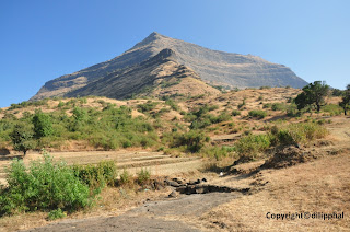 Trek to Salher-Salota-Hargad-Mulher-Mora-Nhavi-Mangi-Tungi