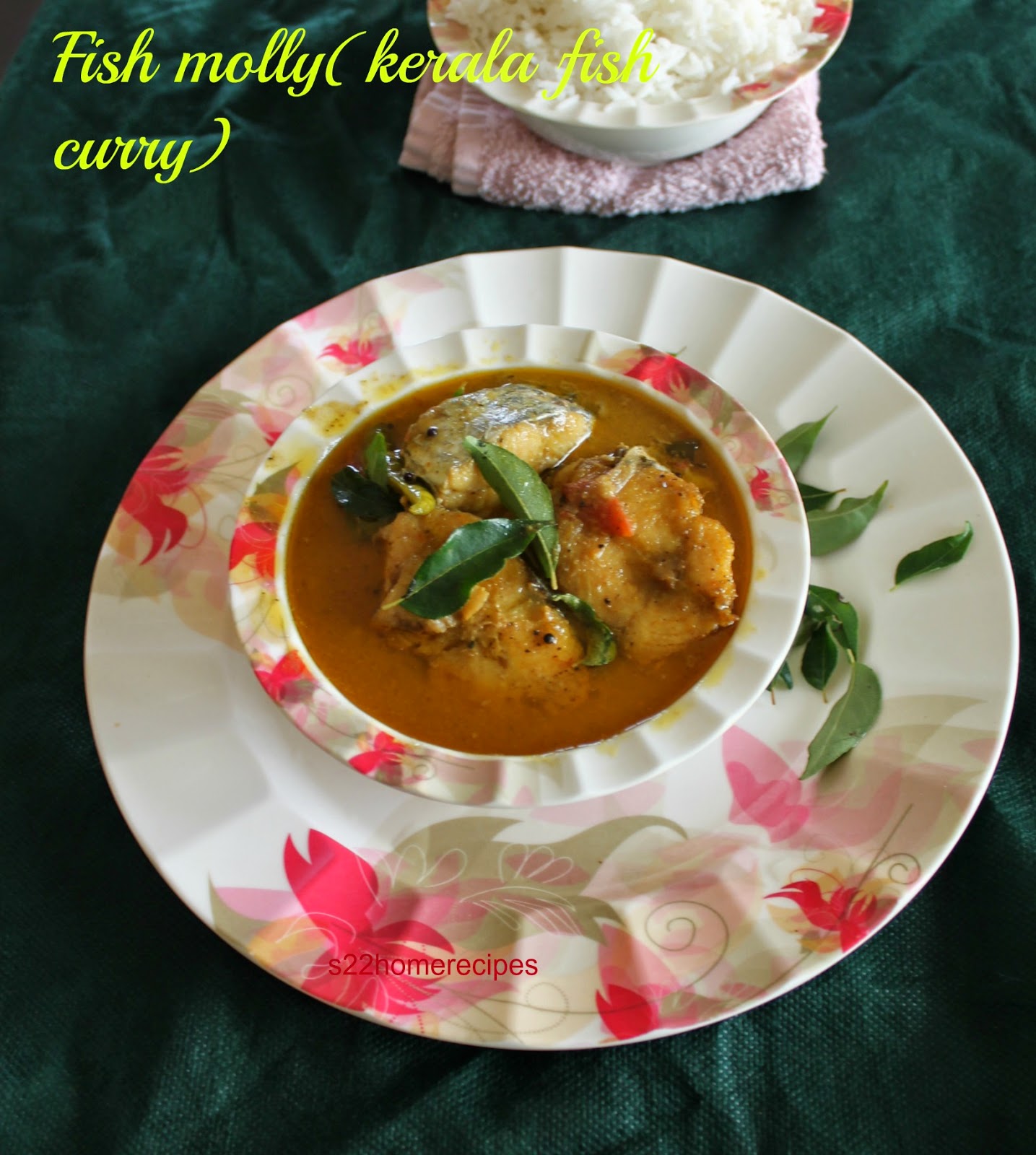 Fish molly(kerala fish curry)
