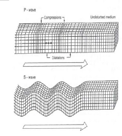 Seismic waves |petroleum