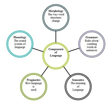 ELEMENTOS BÁSICOS - ENGLISH
