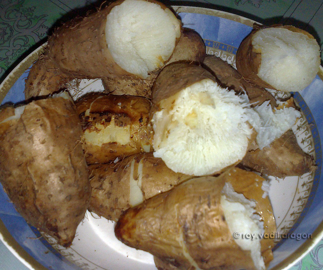 baradibud a tugi, lesser yam vegetable stew ~ PINAKBET REPUBLIC