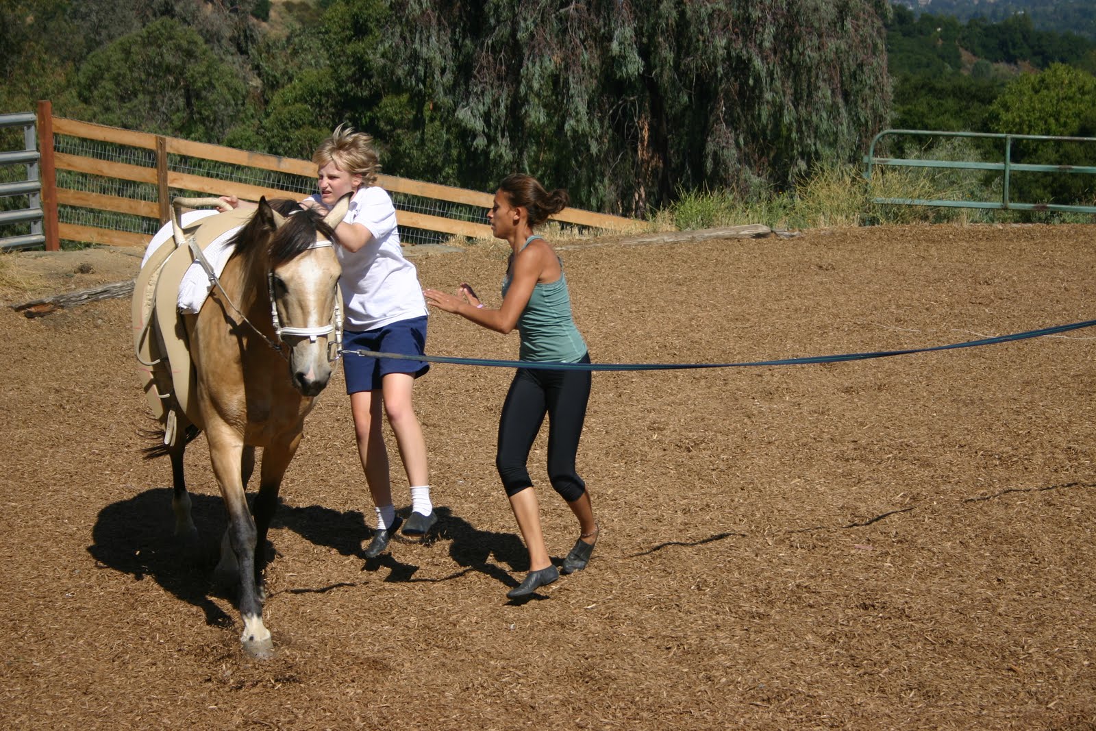 Via West Campus: Adaptive Vaulting at Cooper Garrod! Great program for ...