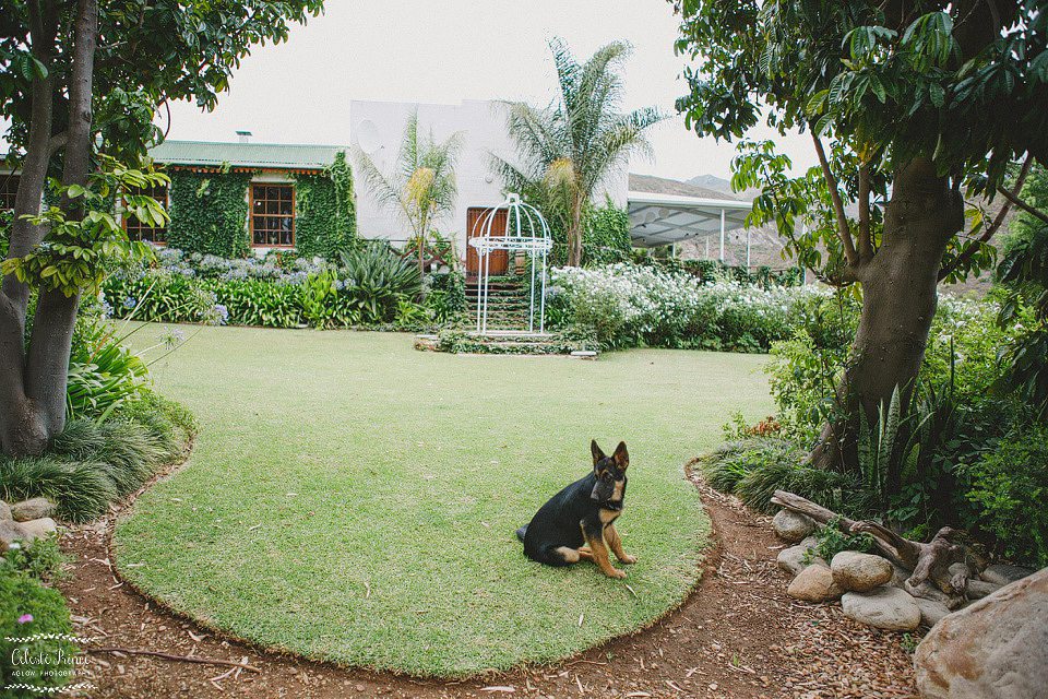 Thomas + Vicky | Wolfkloof | Robertson | Aglow Photography