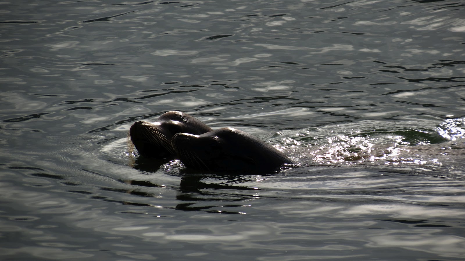 Awful Normal Photography