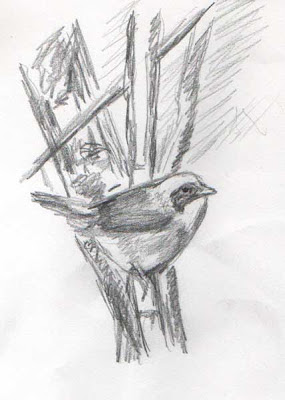 Kat Walk Designs: Nature Journal, Figure and sketch