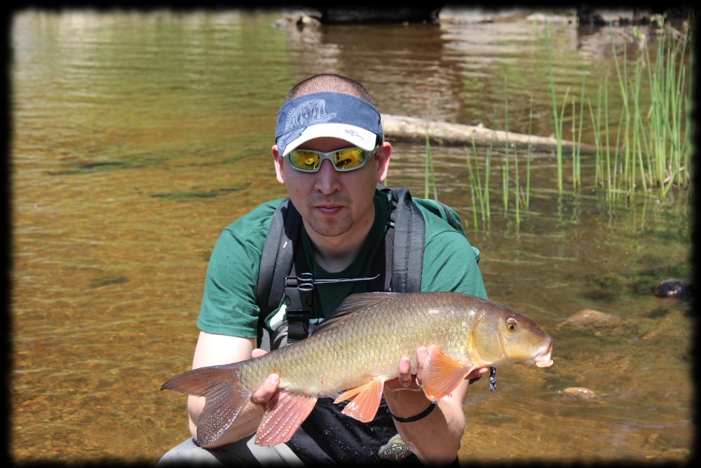 Illinois Wisconsin Fishing: spawning redhorse