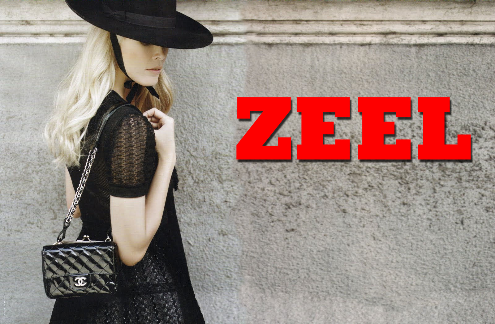 Zeel Pakistan: Zeel Pakistan