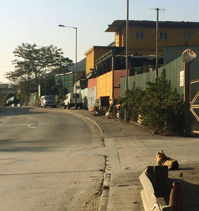 [金蘭觀] 走進隱世道堂 HK Yuen Long Chinese Temple - Kam Lan Koon | Running Girls