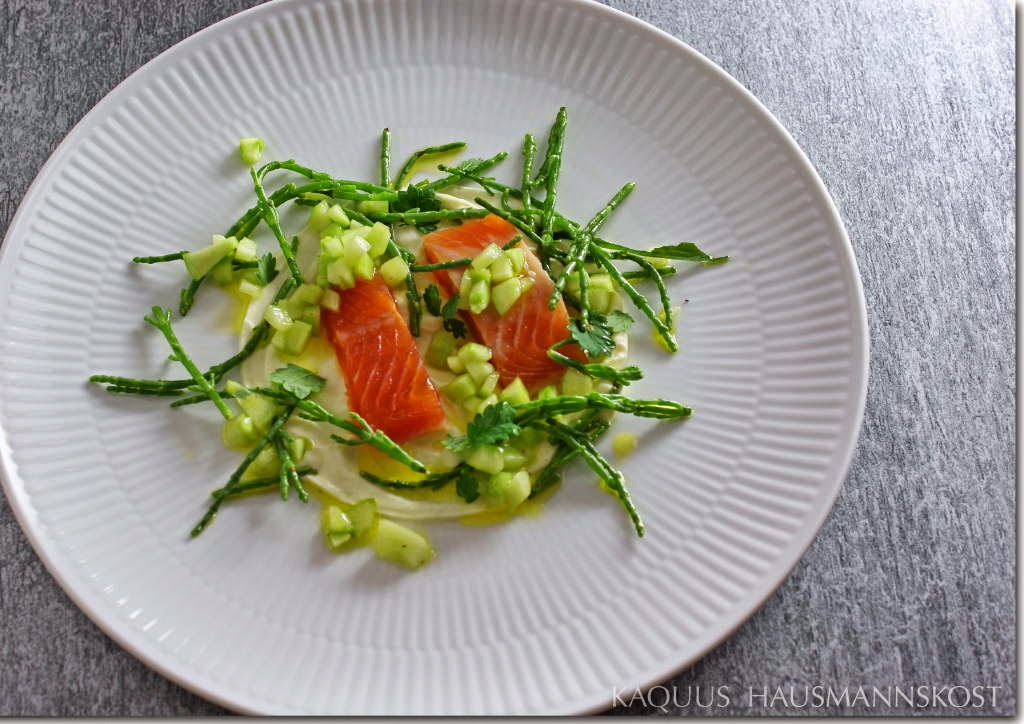 KAQUUS HAUSMANNSKOST: gebeizter Saibling, Quark, Queller