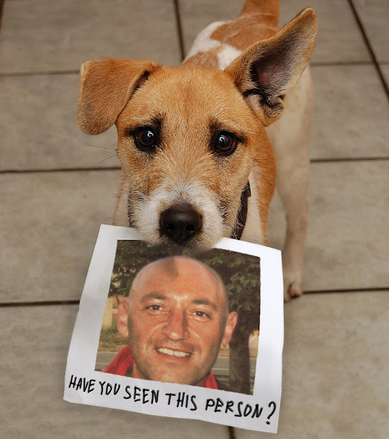 Dog in Search of Lost Owner ~ Kuriositas