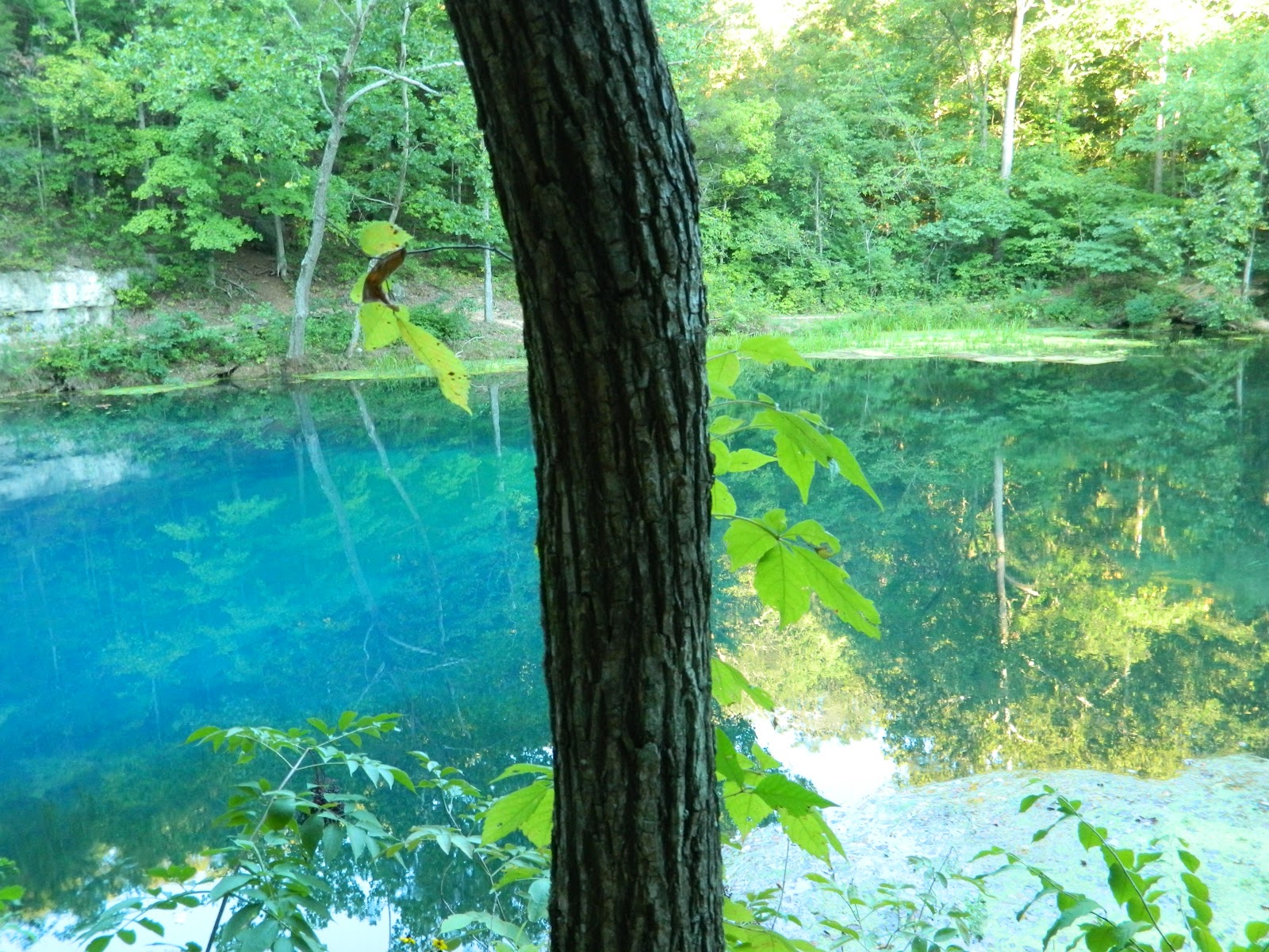 Climbin' Up The Mountain: Is one of these Missouri Springs the Waters ...