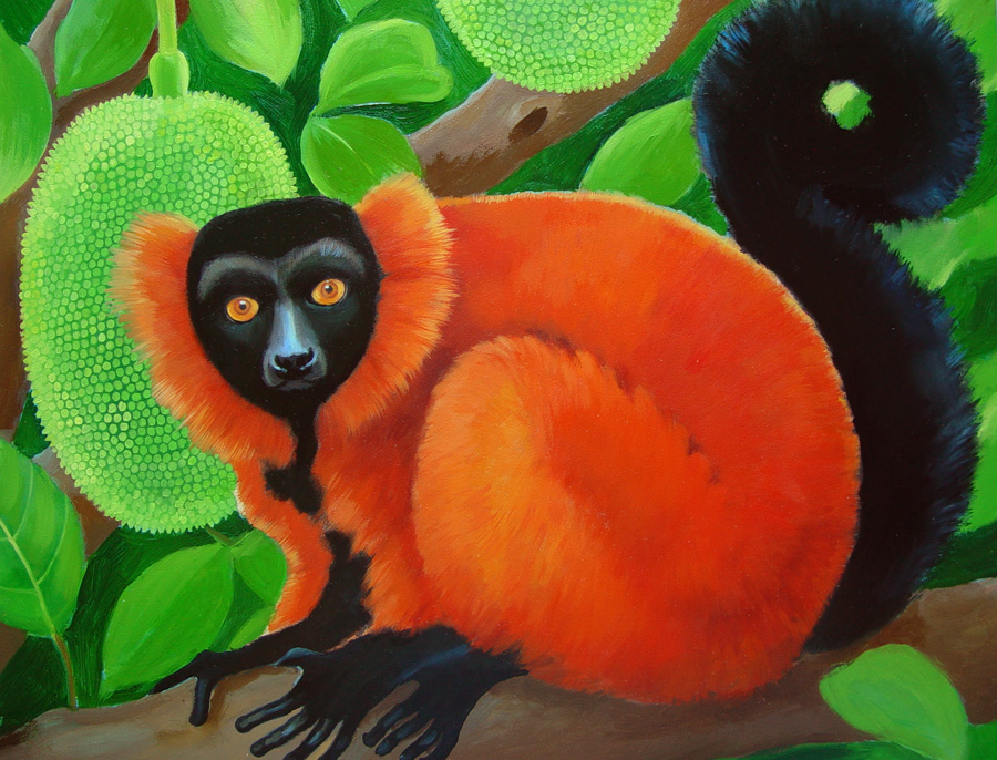 The Ruby Slippers: "Hat Lady with Red Flowers" and "Red-ruffed Lemur"