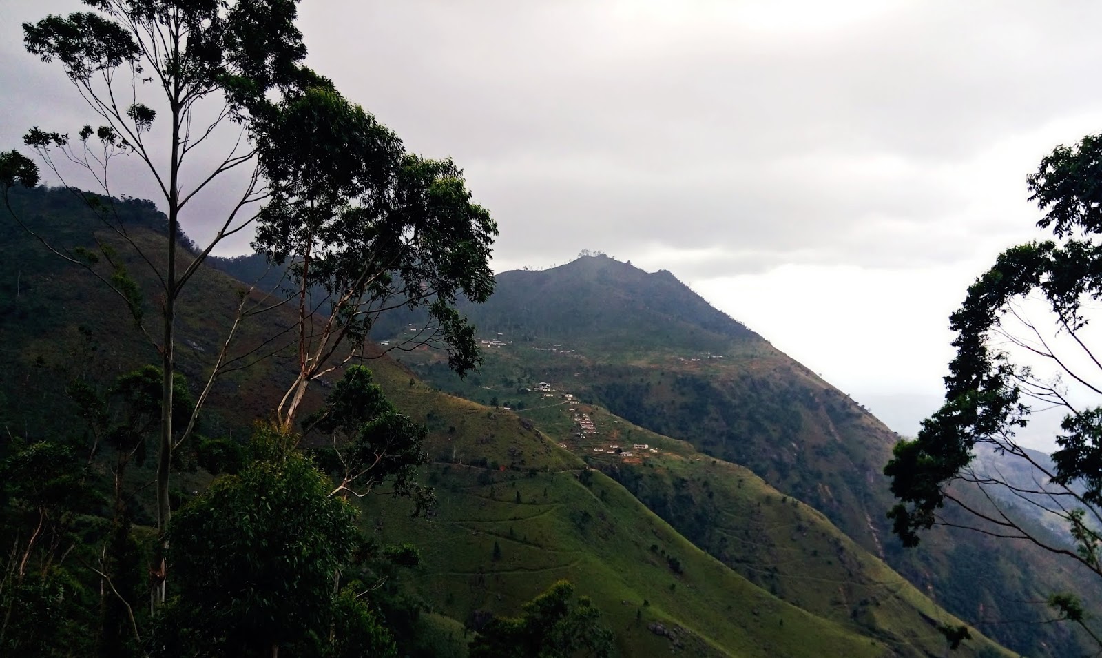 ලින්කන්ගෙ වෙබ් පිටුව: ඔහිය සිට යකාගේ පඩිපෙල පසුකර බඹරකන්ද දියඇල්ලට ...