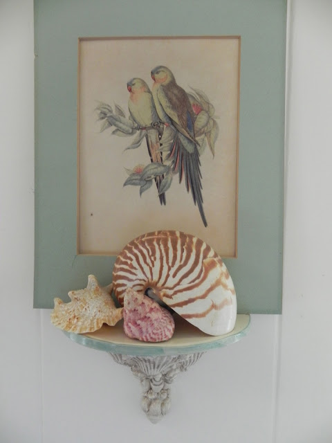 Summerland Cottage Studio: Seashell sconce shelf