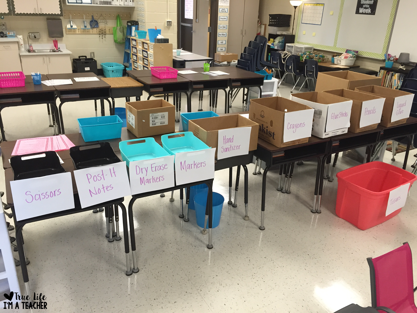 The Primary Peach: Open House Made Easy