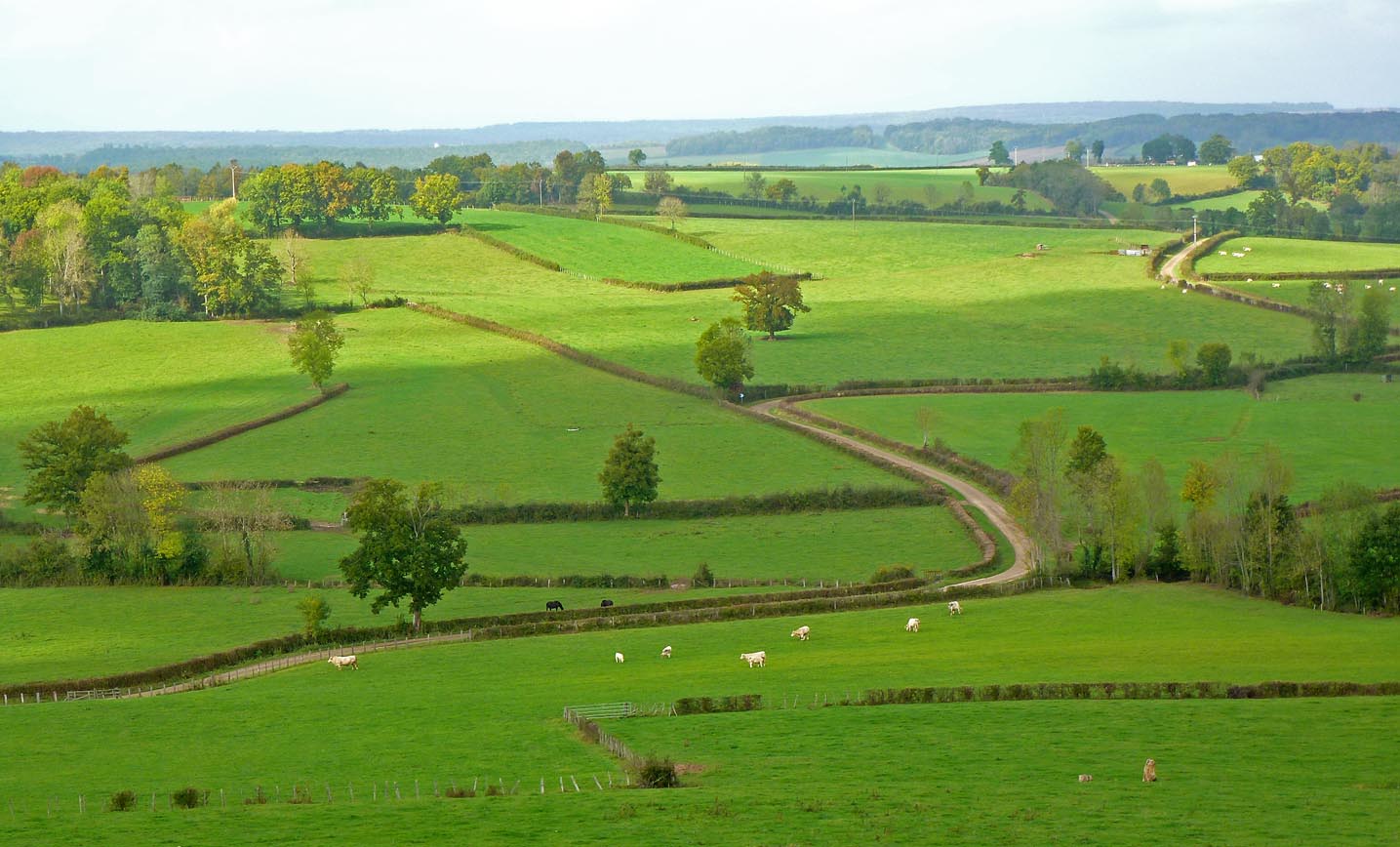 Living the life in Saint-Aignan: Montréal countryside views