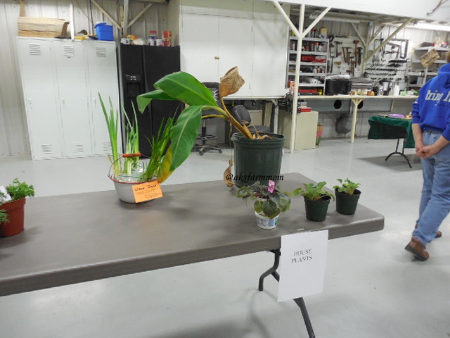 Tales of a Kansas Farm Mom: Plant Exchange Selections