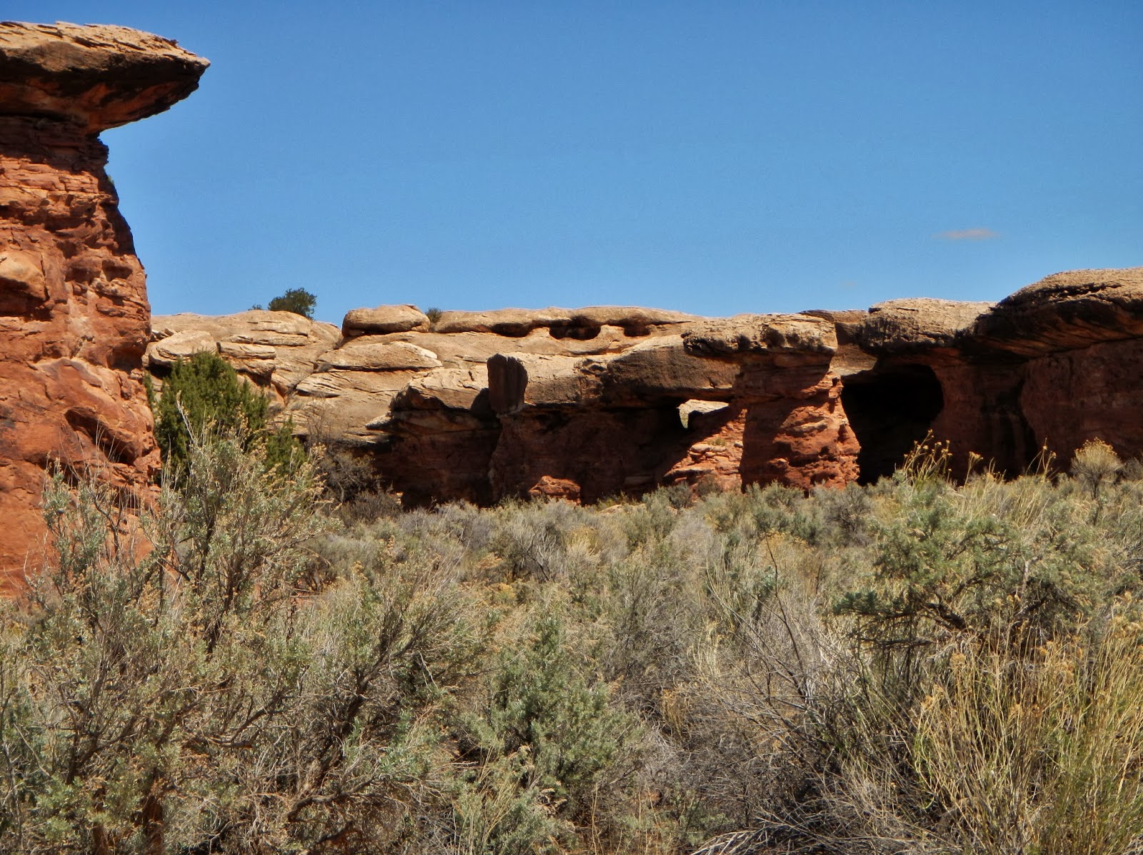 The Southwest Through Wide Brown Eyes: Canyonlands, the Needles ...