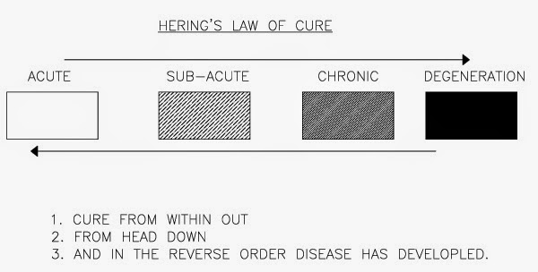 NUTRILINK: Hering's Law of Cure: