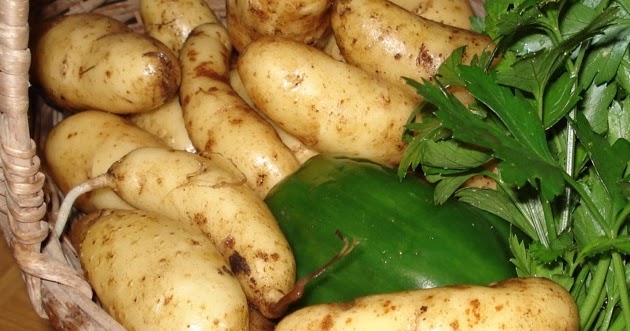 How to substitute potatoes | down to earth