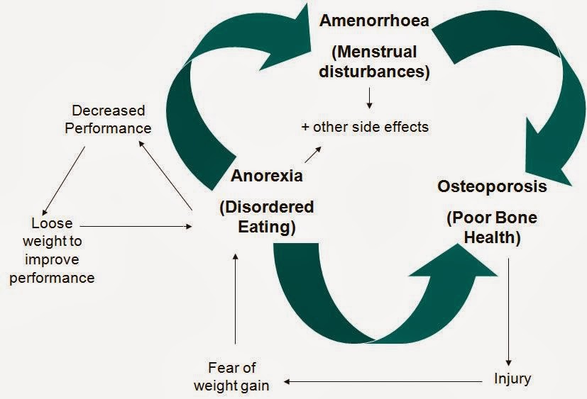 Athlete Life Development: The Female Athlete Triad