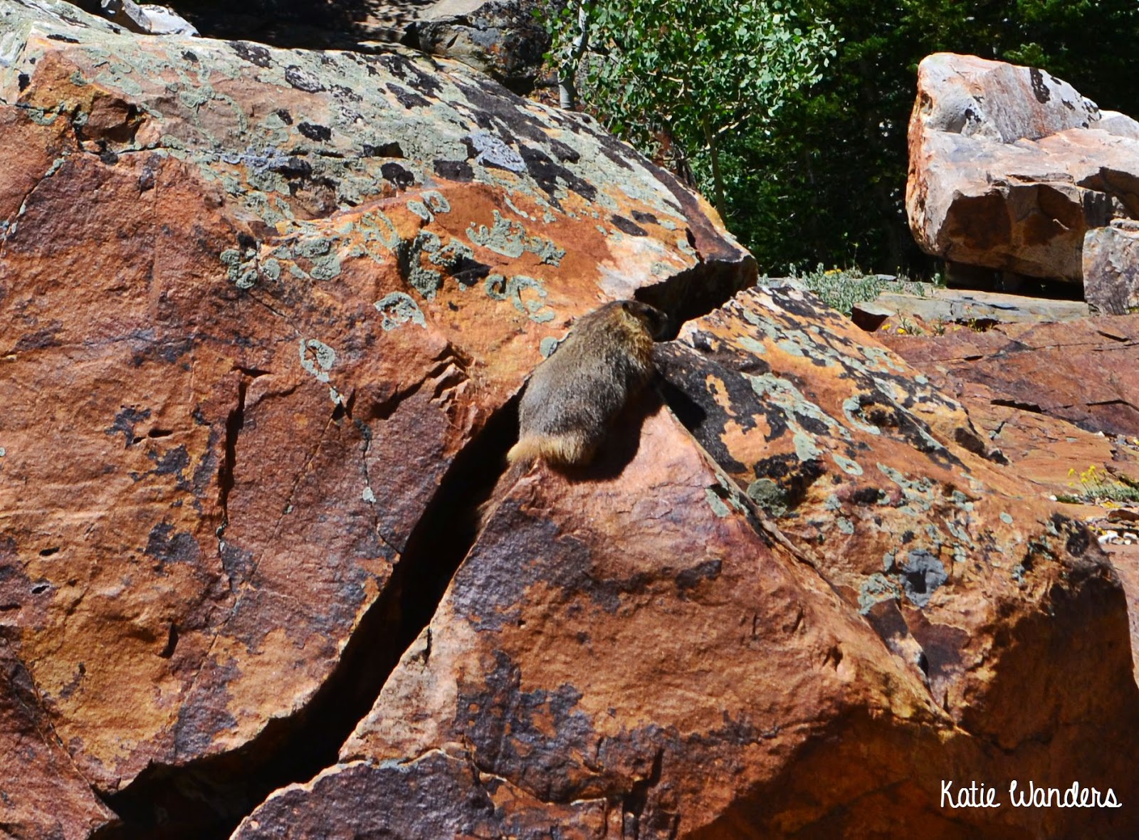 Katie Wanders : Lake Blanche Hike - Big Cottonwood Canyon, Utah