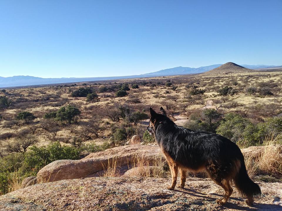 Dog Snot On My Windshield: Council Rocks via Slavin Gulch (Dragoon ...