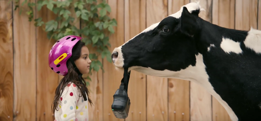Somehow the Cows have gotten on the VR bandwagon. Chick-fil-a 'Delivery ...