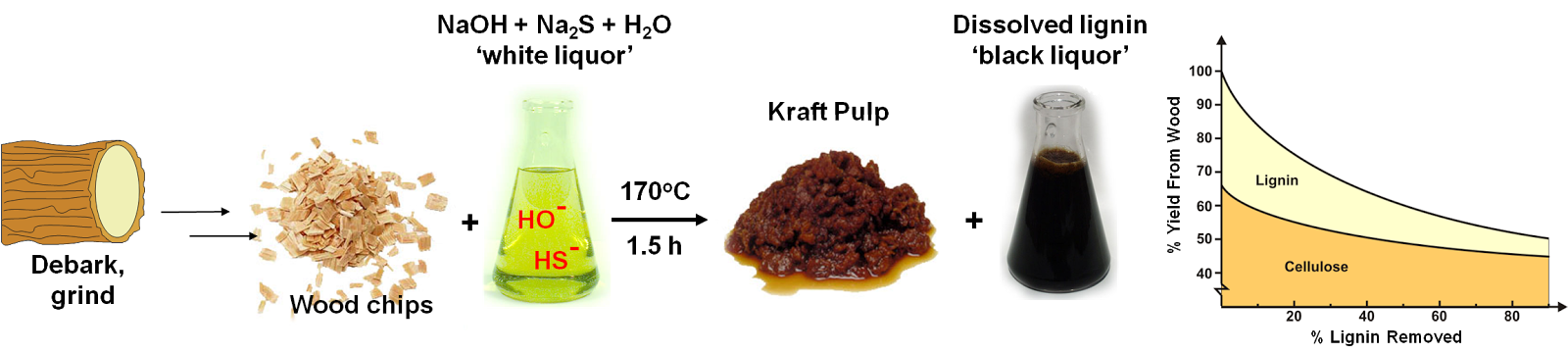 How To Make A Paper? (Chemists' Recipe)