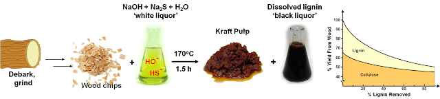 How To Make A Paper? (Chemists' Recipe)