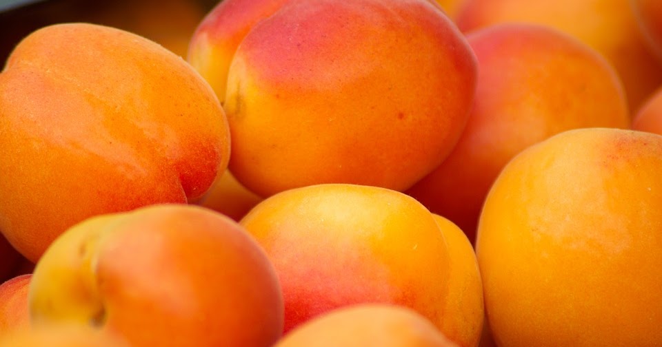 Kookkuns: Appelkoos-sous