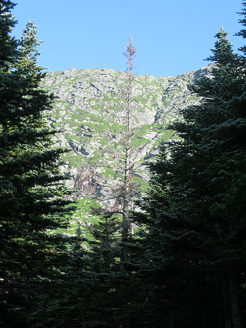 Hiking in the White Mountains: 'The Beasts of the East' ~ Huntington ...