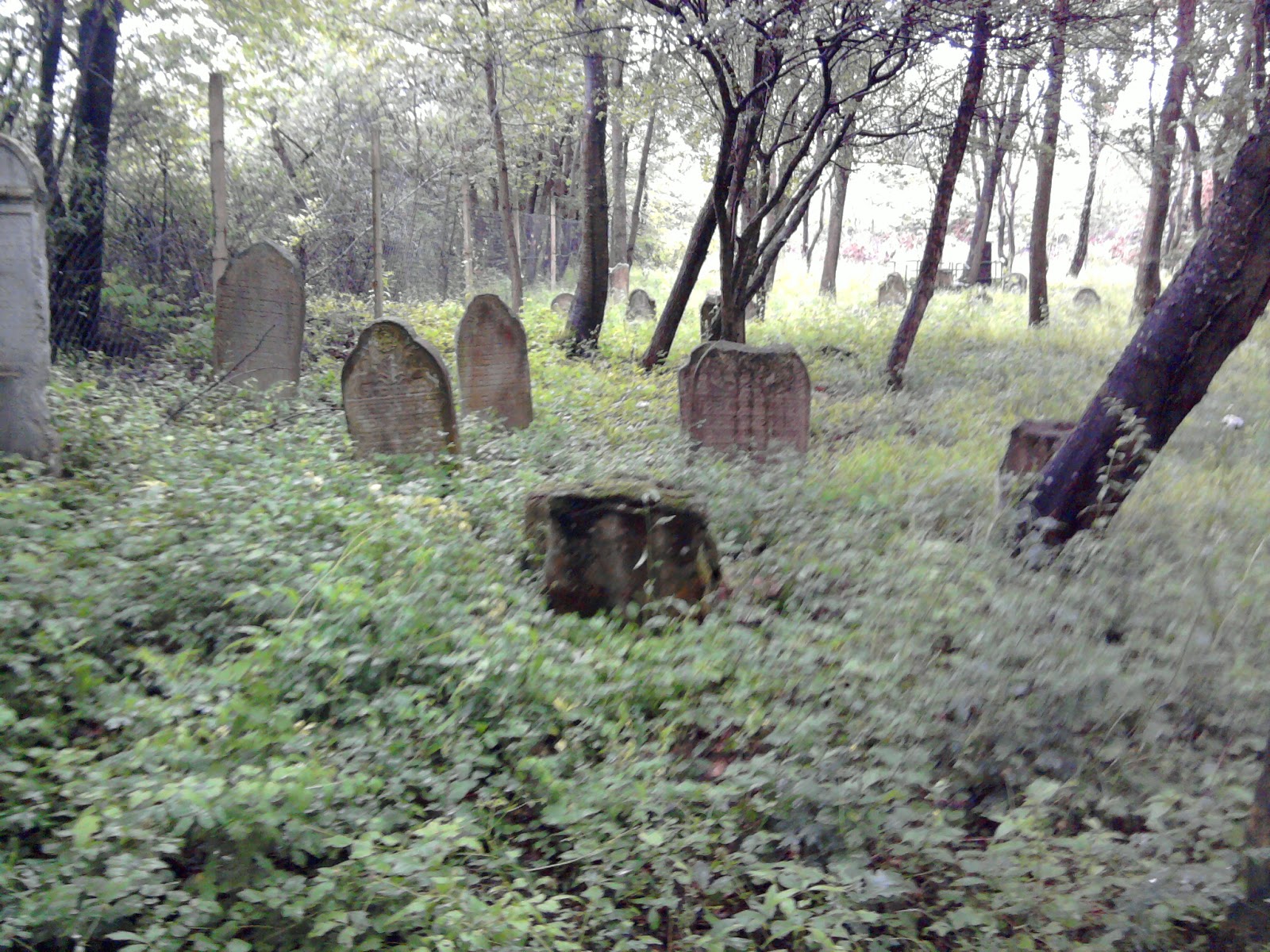 Židovská komunita v meste Sobrance